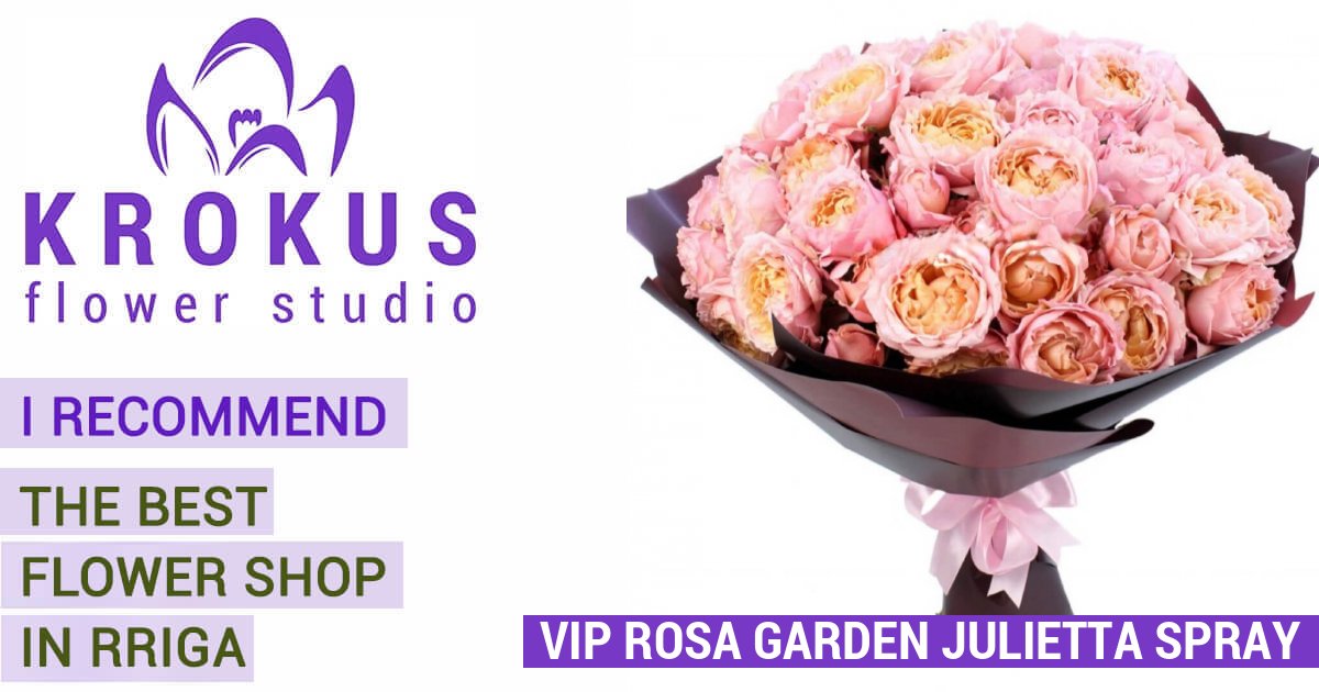VIP Rosa Garden Julietta Spray is a bouquet of fresh cut flowers ...