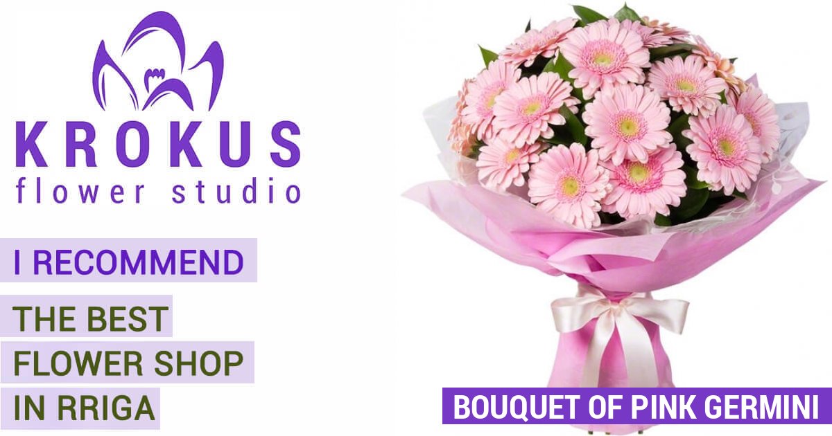 Bouquet of pink germini is a bouquet of fresh cut flowers. KROKUS is ...