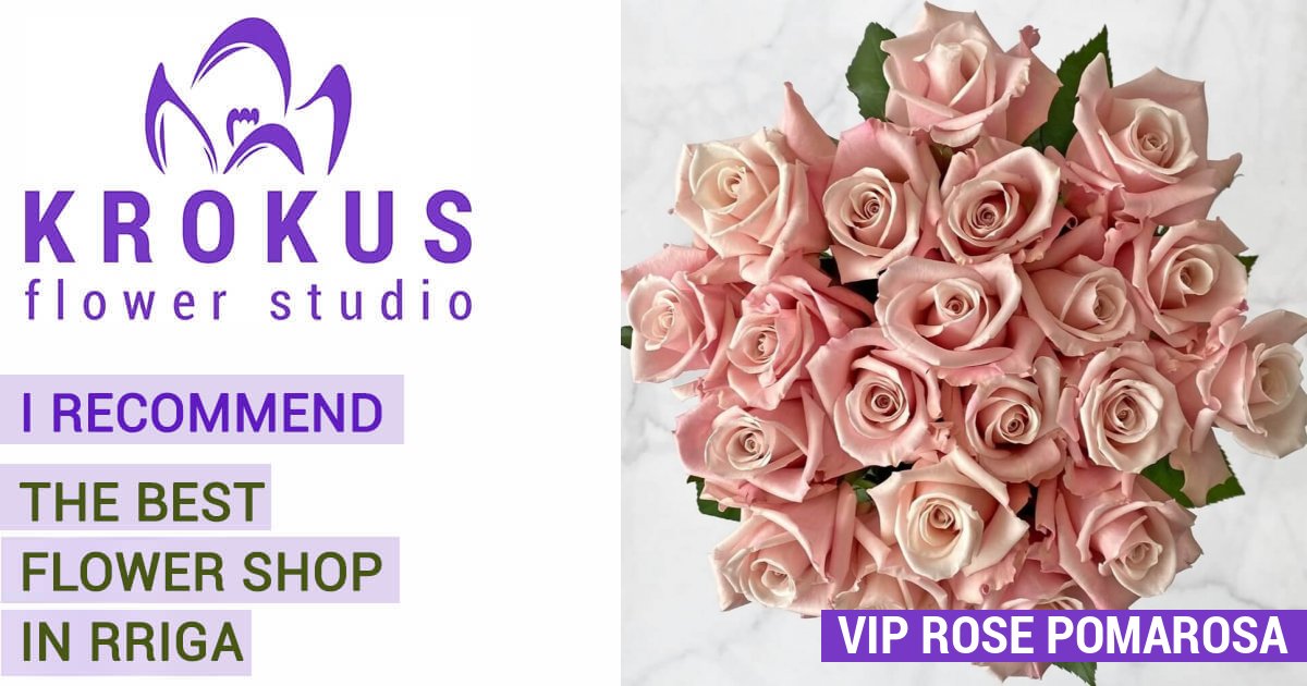 VIP Rose Pomarosa is a bouquet of fresh cut flowers. KROKUS is the best ...