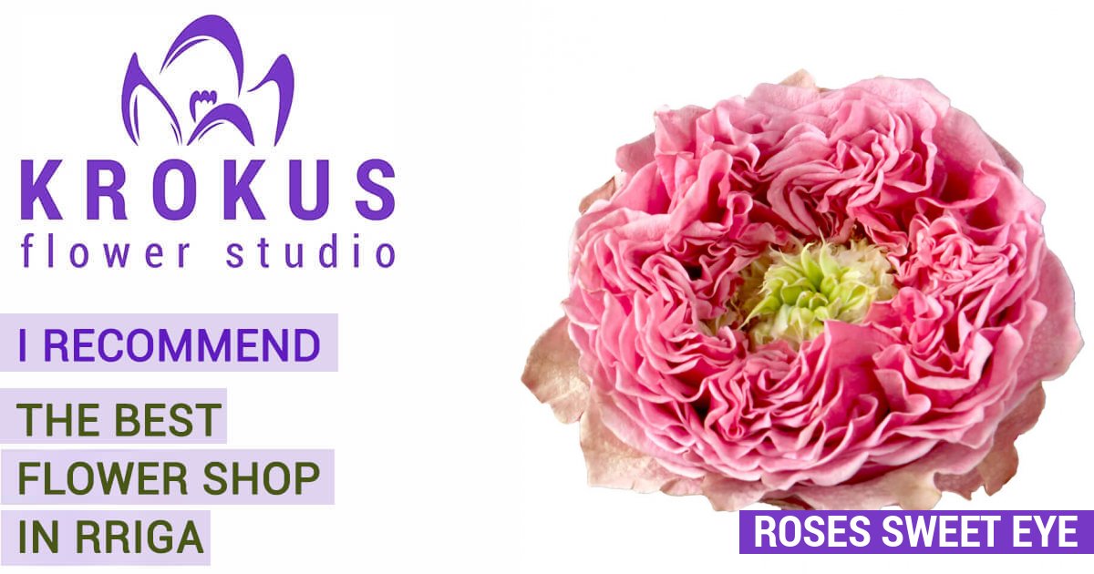 Roses Sweet Eye is a bouquet of fresh cut flowers. KROKUS is the best ...