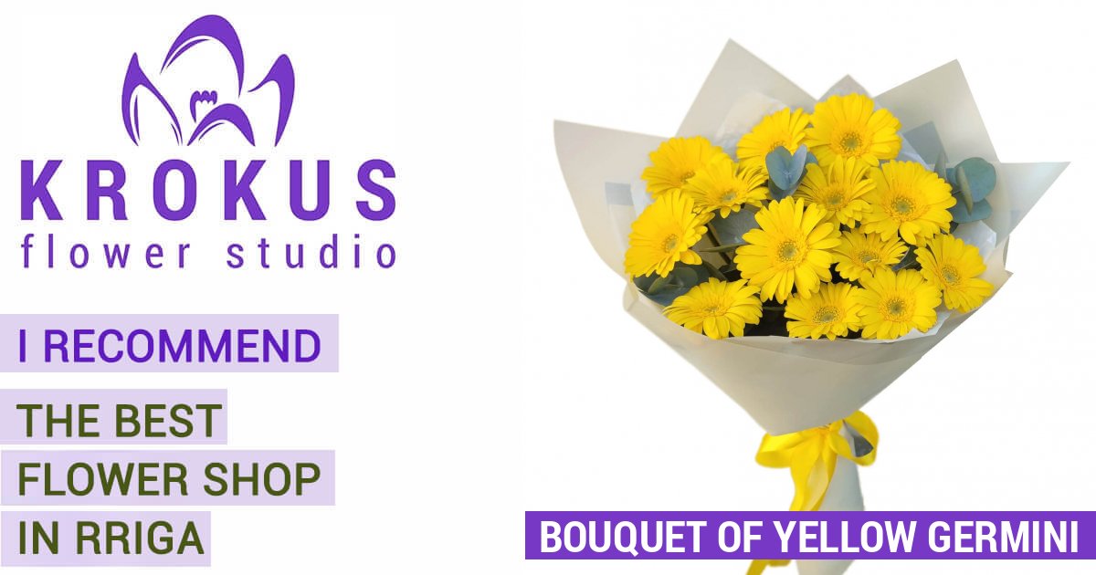 Bouquet of yellow germini is a bouquet of fresh cut flowers. KROKUS is ...