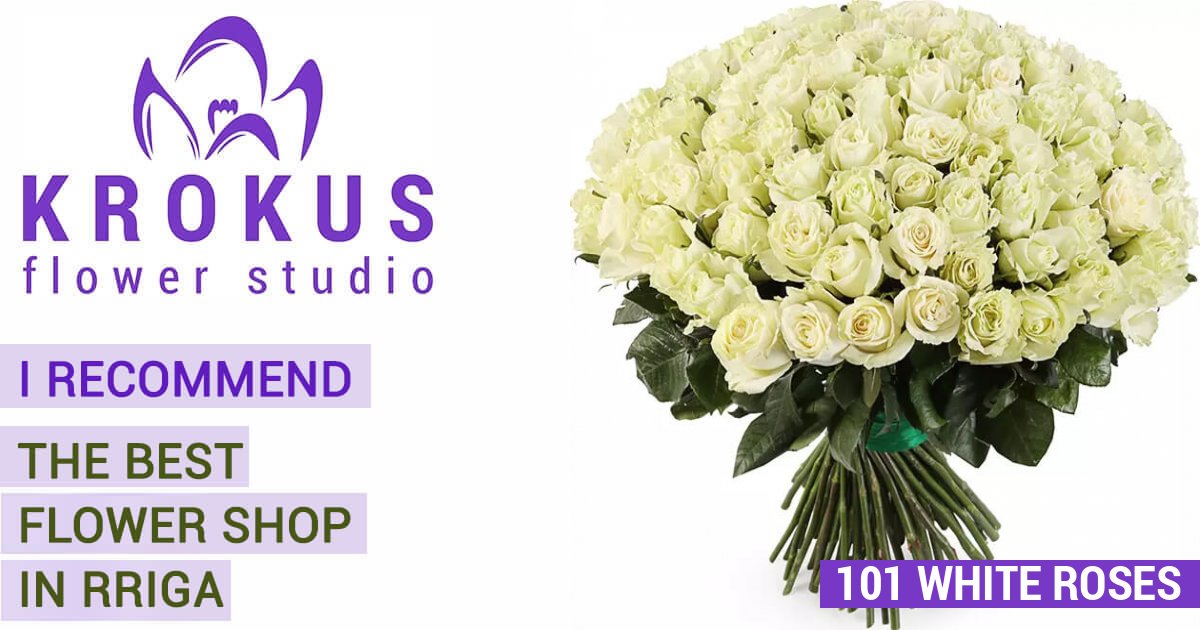 101 white roses is the best bouquets with delivery in Riga and across ...