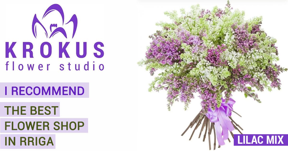 Lilac Mix is a bouquet of fresh cut flowers. KROKUS is the best online ...