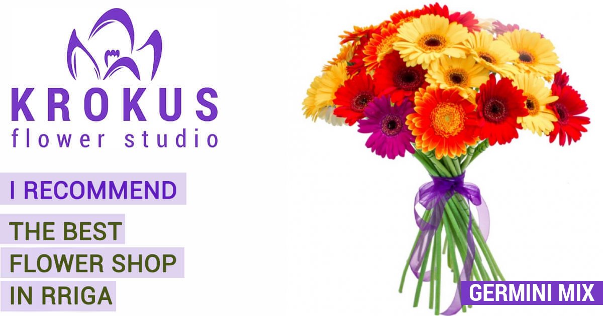 To order a mixed gerbera bouquet with delivery to any address in Riga ...