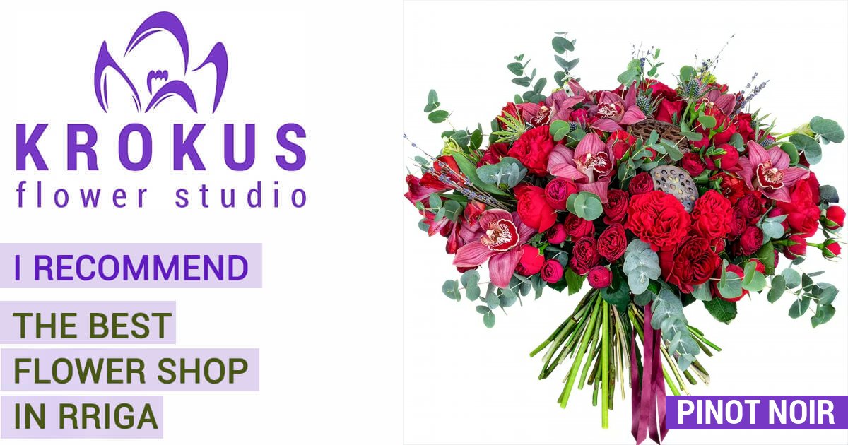 Pinot Noir is a premium class bouquet. The best flowers of premium ...