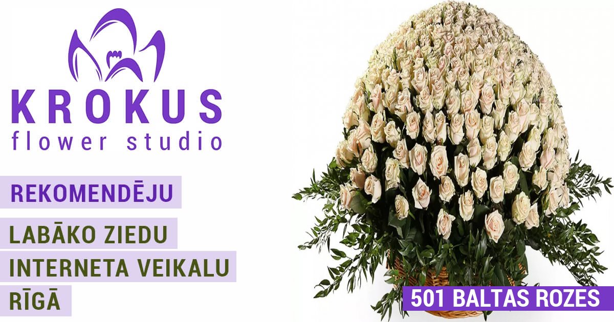 501 baltas rozes - skaists pušķis grozā. Ātra ziedu piegāde mūsu ...