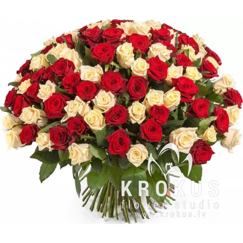 red and cream roses is a bouquet of fresh cut flowers. KROKUS is the ...