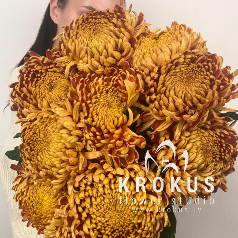 Dzintara krizantēma šis ir pušķis no svaigiem grieztiem ziediem. KROKUS ...