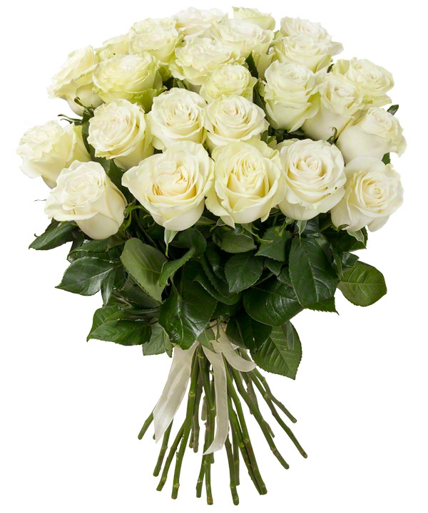 White rose bouquet with delivery at the best price in Riga and all over ...