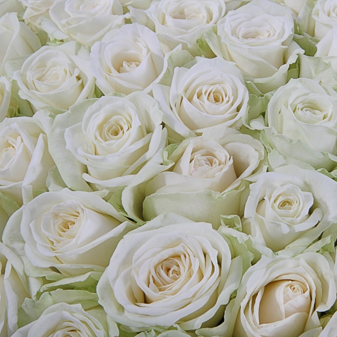 Galda kompozīcija no ziediem "Baltas rozes stilīgā cepuru kastē ...